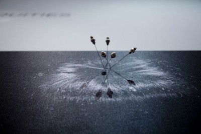 Natasha Kertes: Porcelain Exhibition – KA MAGAZINE